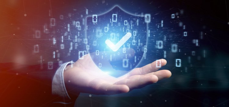 Instant Checkmate Background Check Review